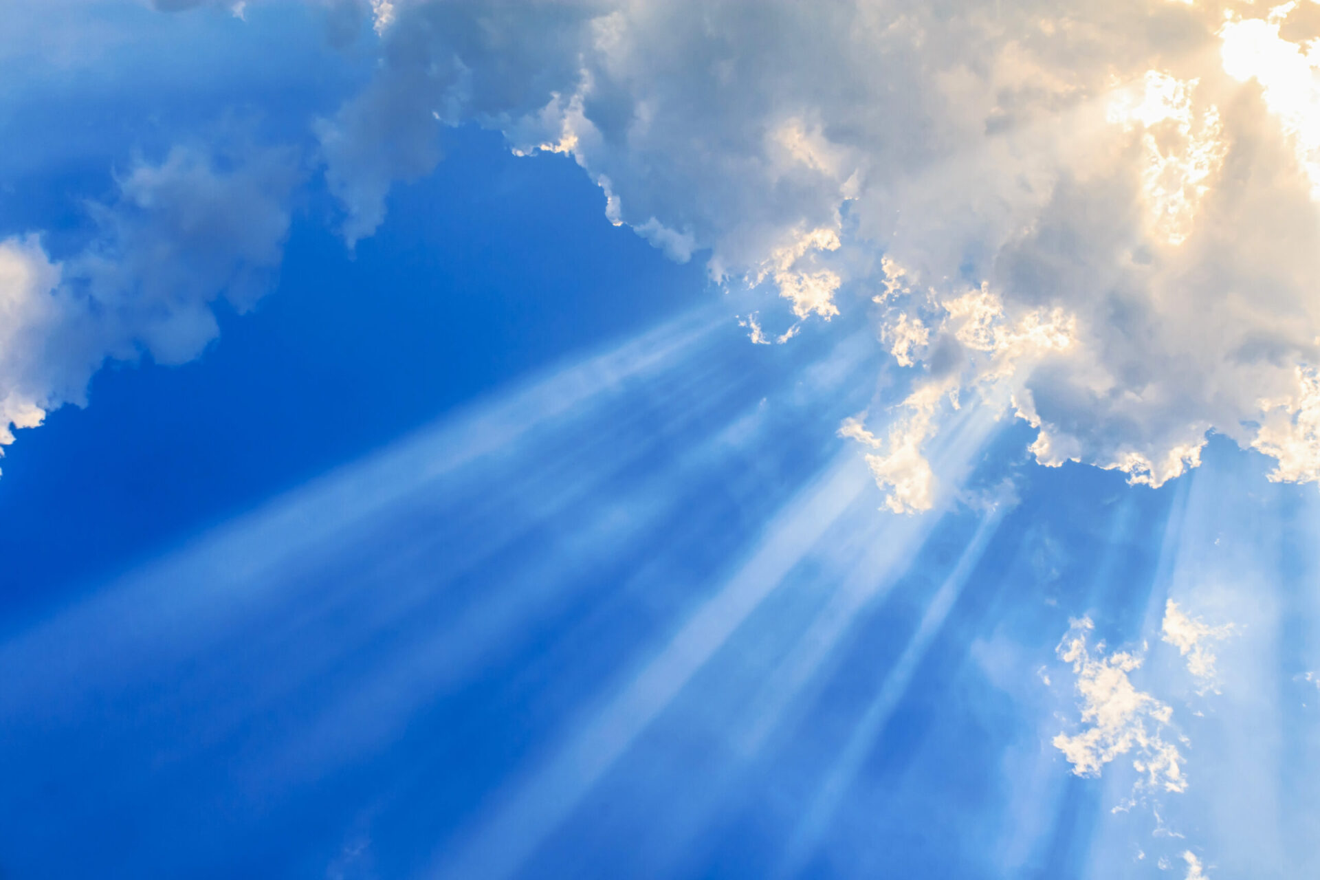 Translation Services for Non-Profit Organizations